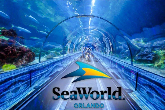 SeaWorld for Children - Must see Attractions at the Theme Park ...